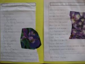 Resources for a Plants Lapbook