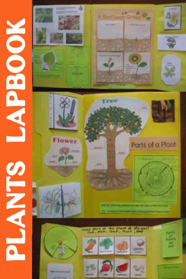 Resources for a Plants Lapbook