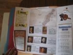 Revolutionary War unit study and lapbook