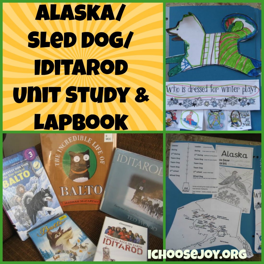 Alaska/ Sled Dog/ Iditarod unit study and lapbook