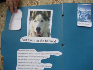 Alaska/ Sled Dog/ Iditarod unit study and lapbook
