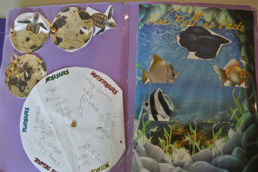 Apologia Swimming Creatures Final Post