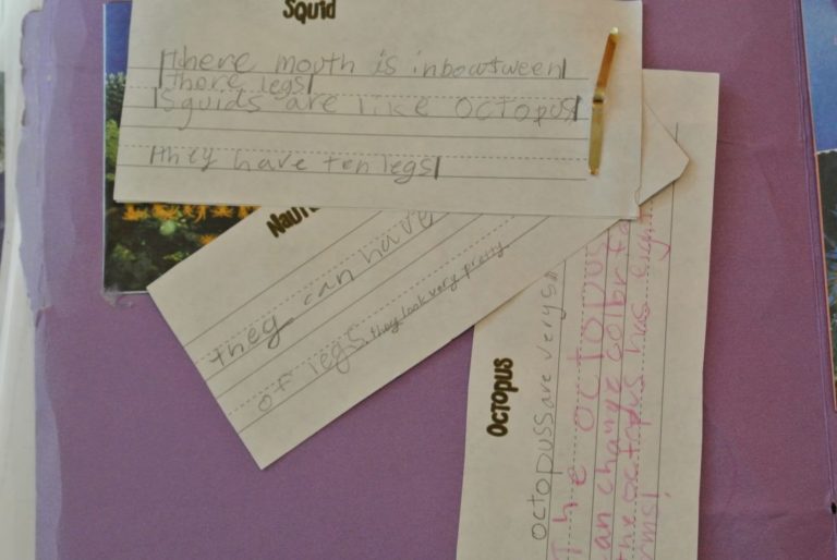 Apologia Swimming Creatures Final Post