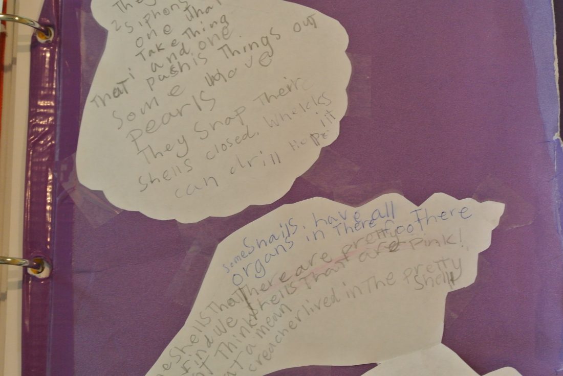 Apologia Swimming Creatures Final Post