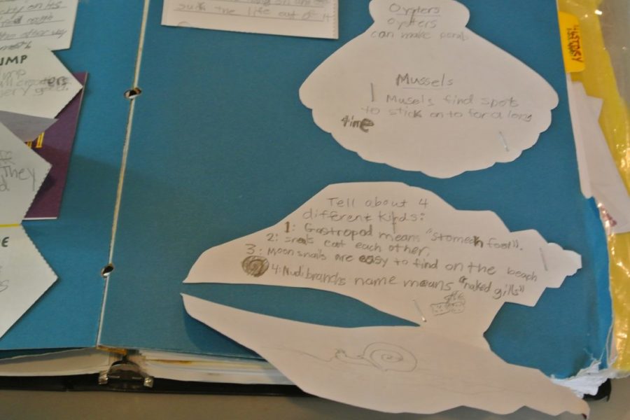 Apologia Swimming Creatures Final Post