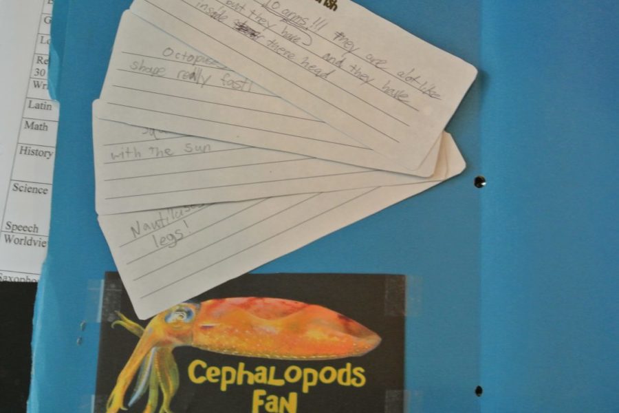 Apologia Swimming Creatures Final Post