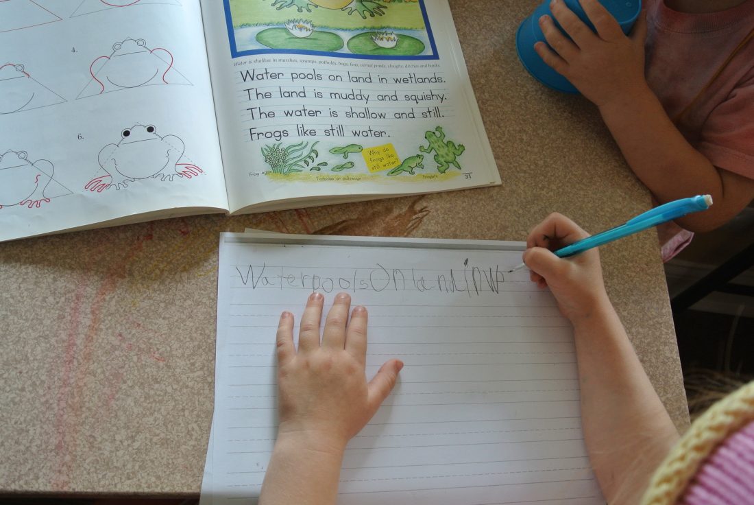 Draw Write Now set on sale at Educents!