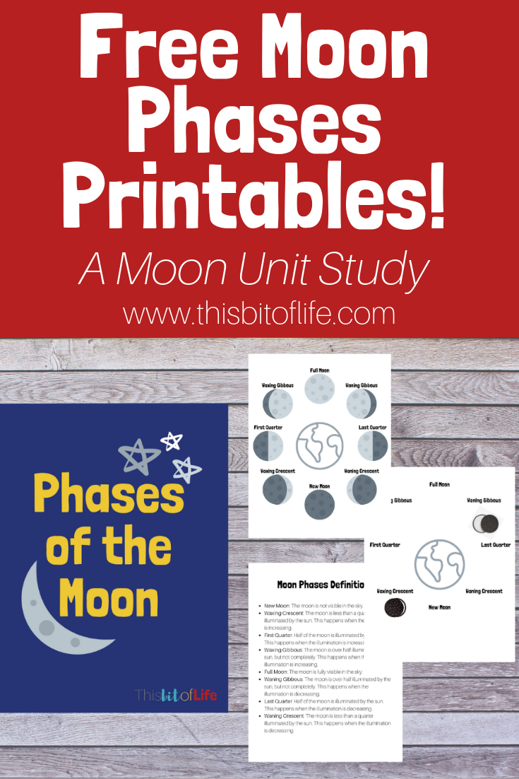 Round-up of Fun Moon Activities to Celebrate the First Landing on the ...