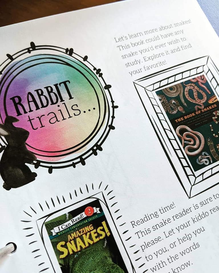Rabbit Trails Through Literature as an Elementary Language Arts ...