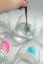 Dissolving Peeps Experiment: STEM Activity for Eastertime