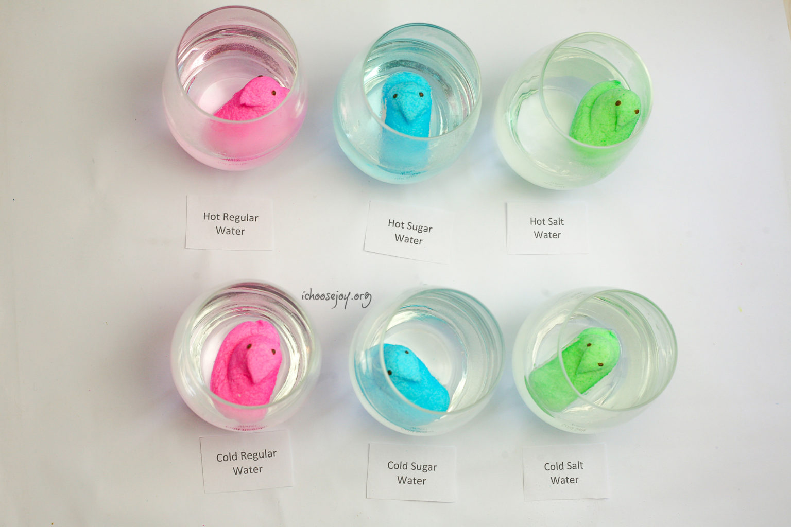 Dissolving Peeps Experiment: STEM Activity for Eastertime