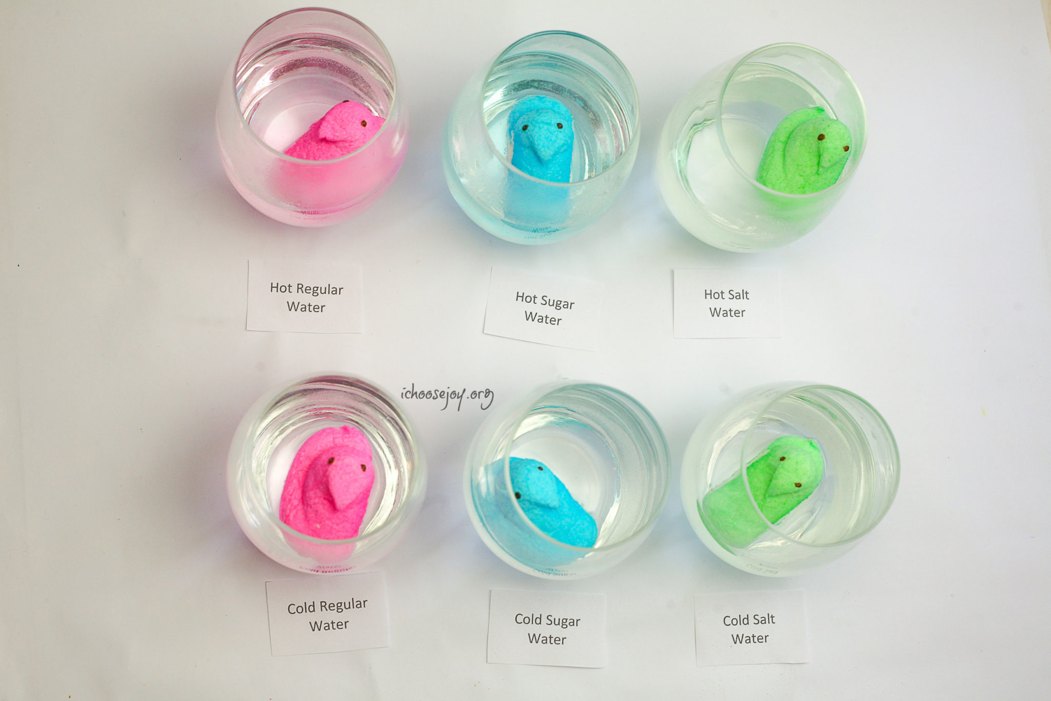 Dissolving Peeps Experiment: STEM Activity for Eastertime
