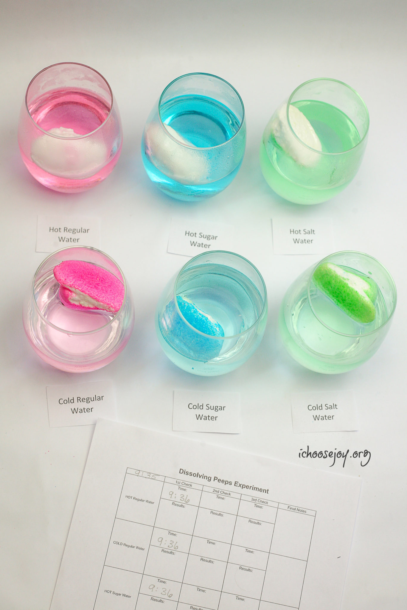 Dissolving Peeps Experiment: STEM Activity for Eastertime