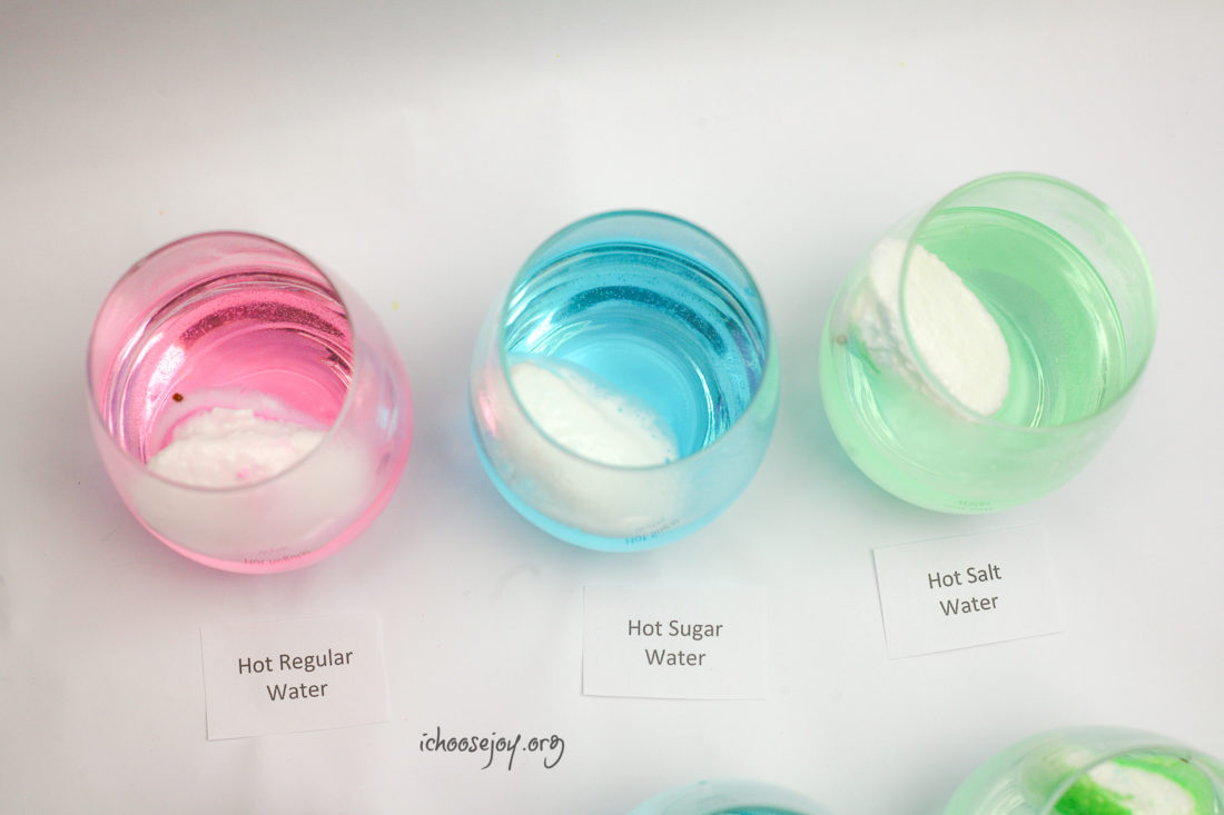 Dissolving Peeps Experiment: STEM Activity for Eastertime