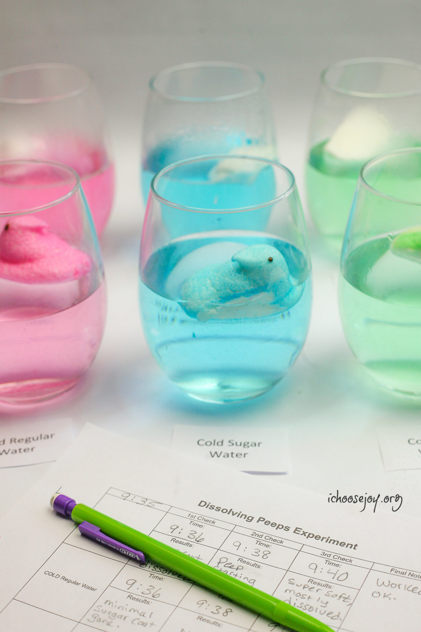 Dissolving Peeps Experiment: STEM Activity for Eastertime