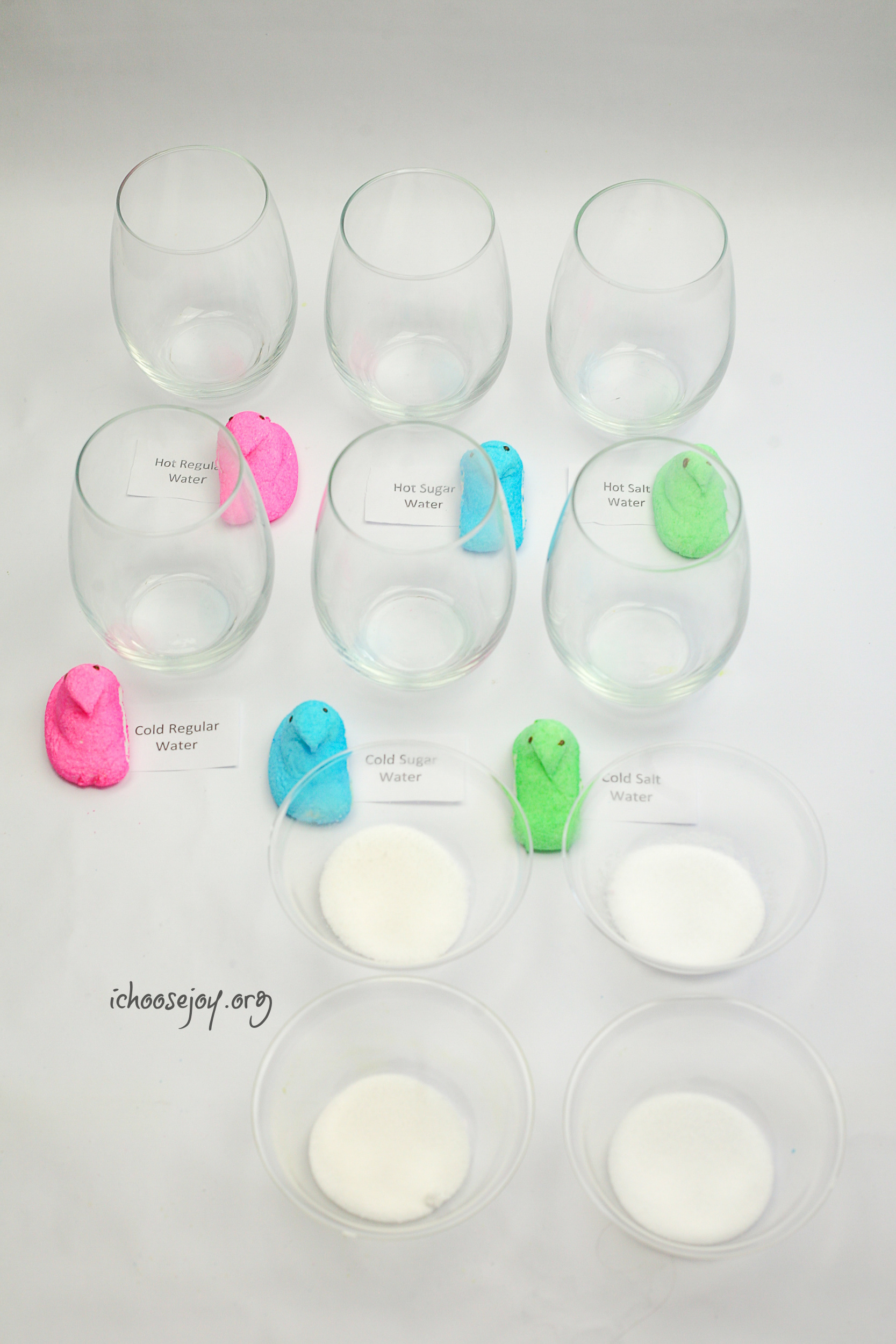 Dissolving Peeps Experiment: STEM Activity for Eastertime