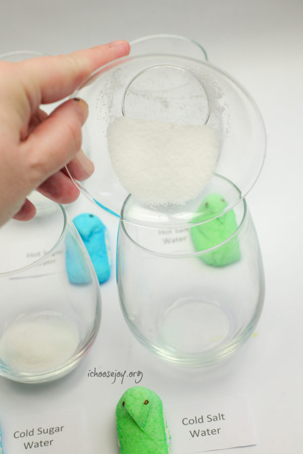 Dissolving Peeps Experiment: STEM Activity for Eastertime