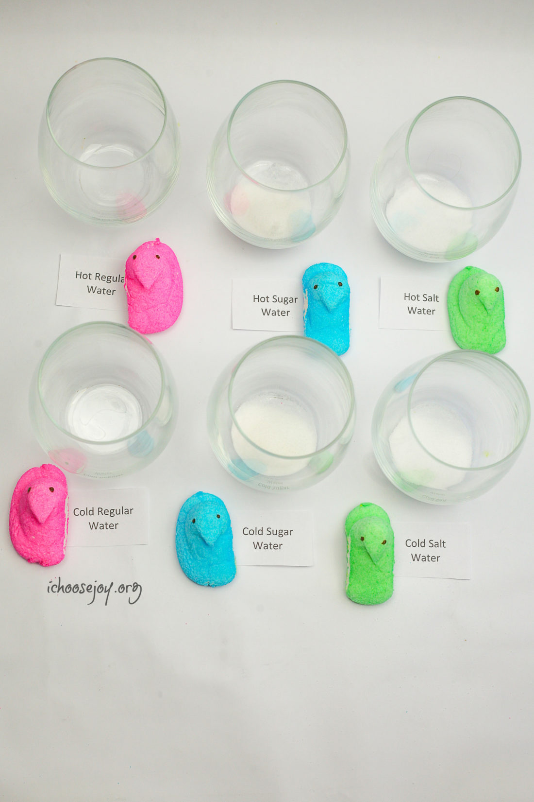 Dissolving Peeps Experiment: STEM Activity for Eastertime