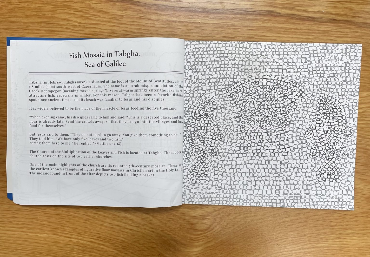 Learn About Israel Unit Study for Your Homeschool