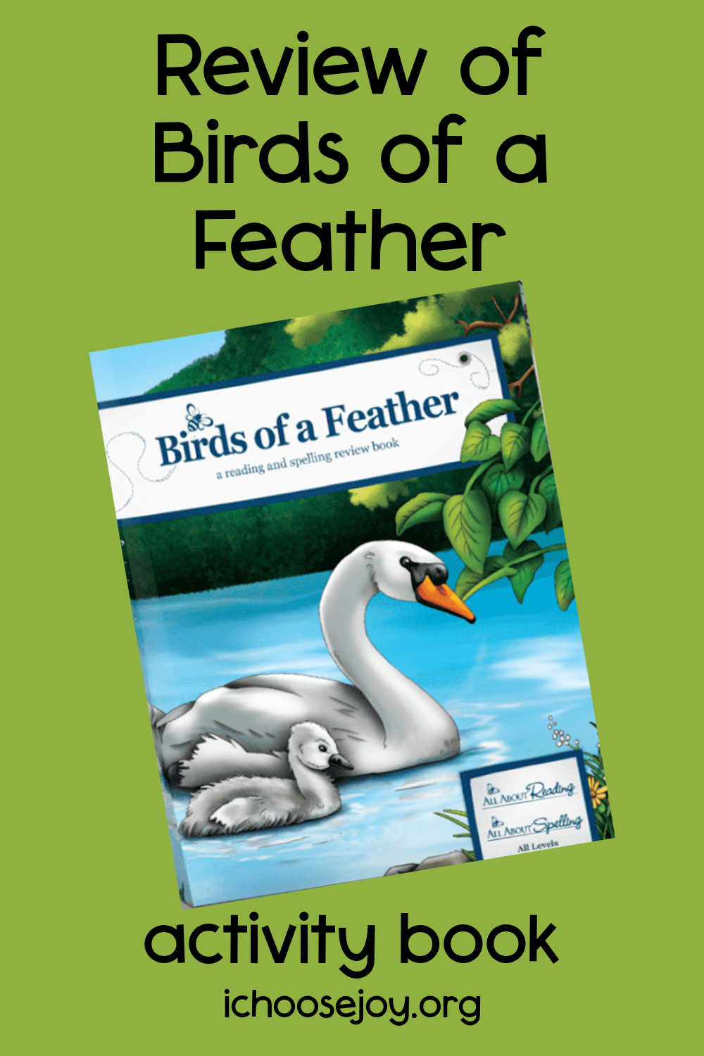 Review of Birds of a Feather Activity Book from All About Learning Press